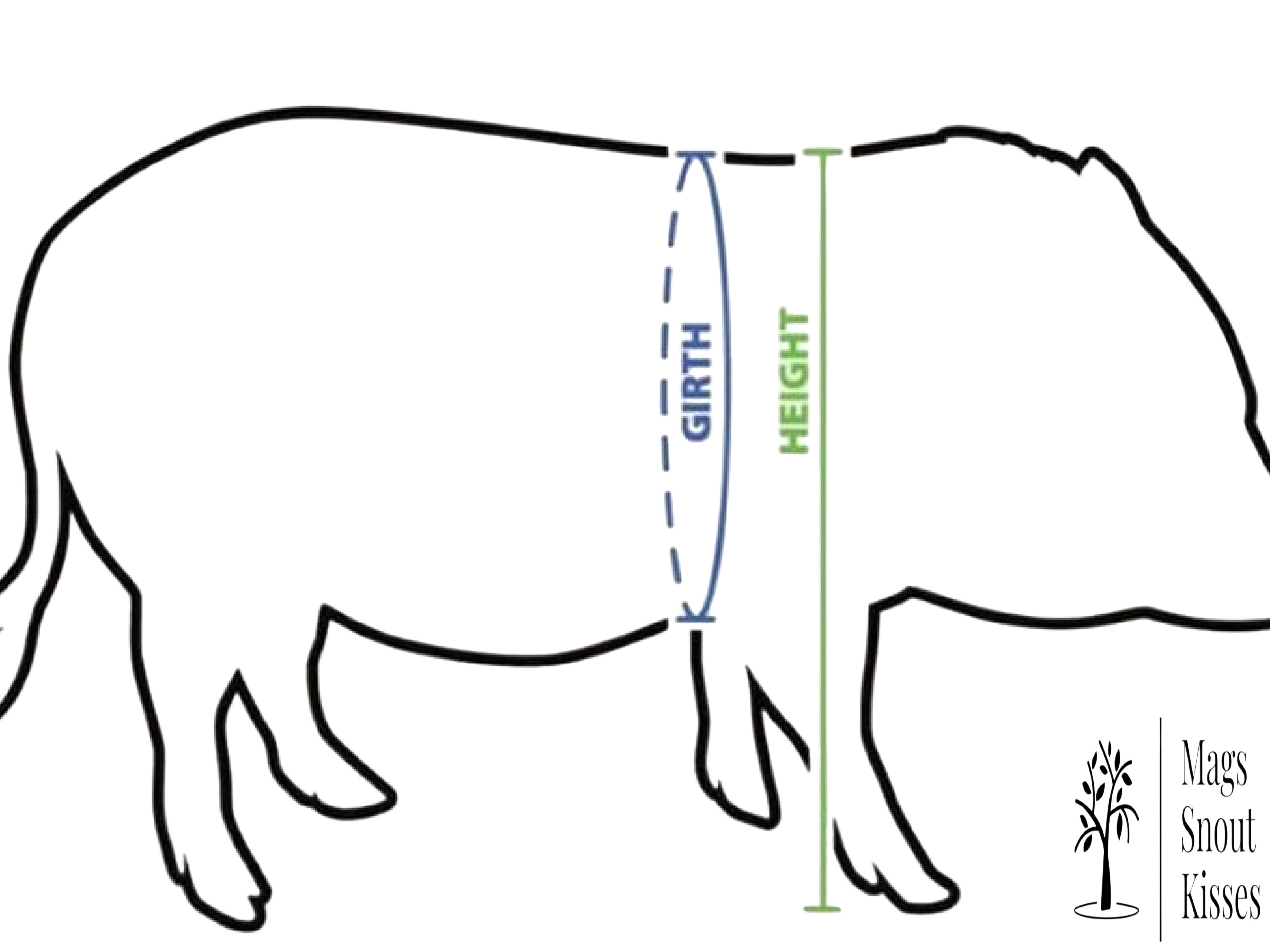 Weighing a pig – MAGS SNOUT KISSES